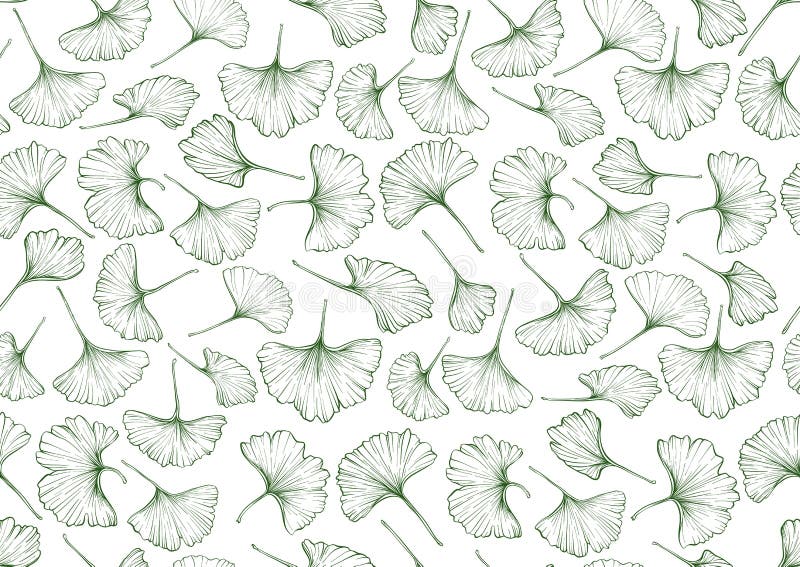 Ginkgo Biloba Leaves. Seamless Pattern, Background Stock Vector ...