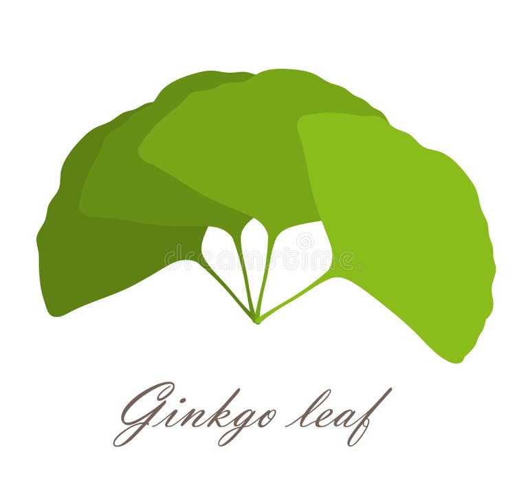 Ginkgo Logo Stock Illustrations – 841 Ginkgo Logo Stock Illustrations ...