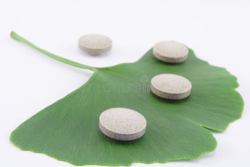 Ginkgo Biloba stock photo. Image of medication, clinical - 2643102