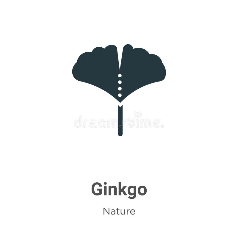 Ginkgo Icon Vector Sign And Symbol Isolated On White Background Stock ...