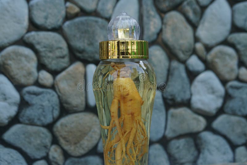 Rootginseng Stock Photos - Free & Royalty-Free Stock Photos from Dreamstime