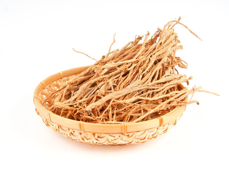 Muskroot, Indian Spikenard (Jatamanshi) Stock Image - Image of indian ...