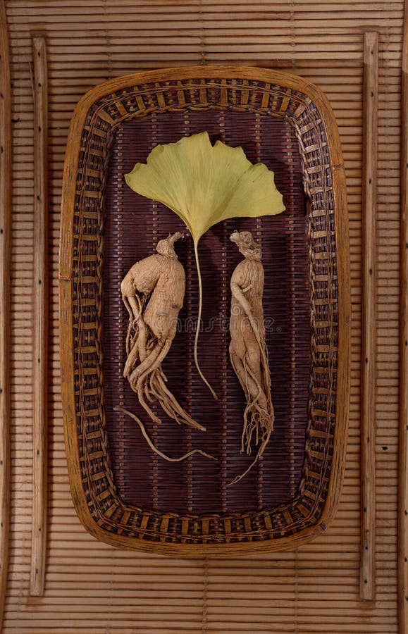 Ginseng and Ginkgo stock image. Image of chinese, tonic - 419025