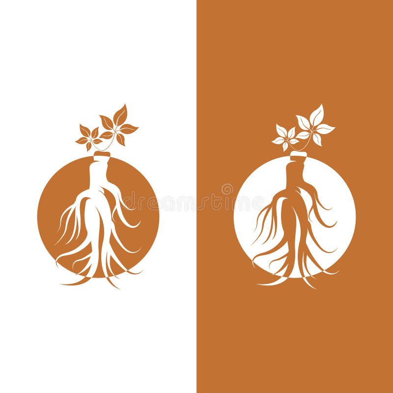 Ginseng Logo Design Template and Symbol Icon Stock Vector ...