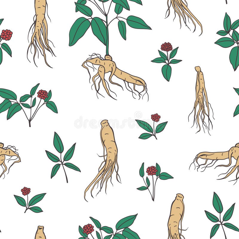 Ginseng Root with Steam, Leaves and Berries Seamless Pattern Stock ...