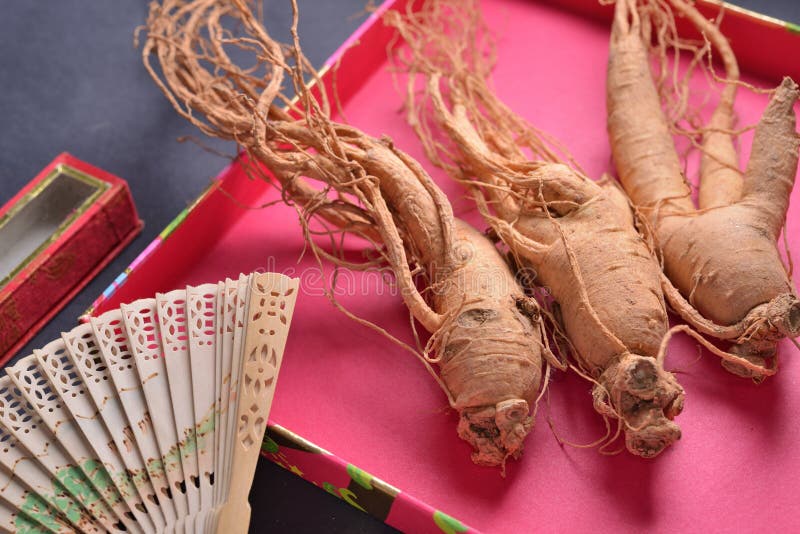 Ginseng roots in gift box stock image. Image of wild - 132314403