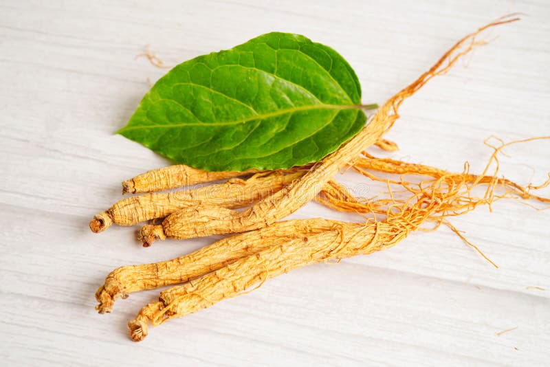 Ginseng Roots and Green Leaf, Healthy Food Stock Photo - Image of green ...
