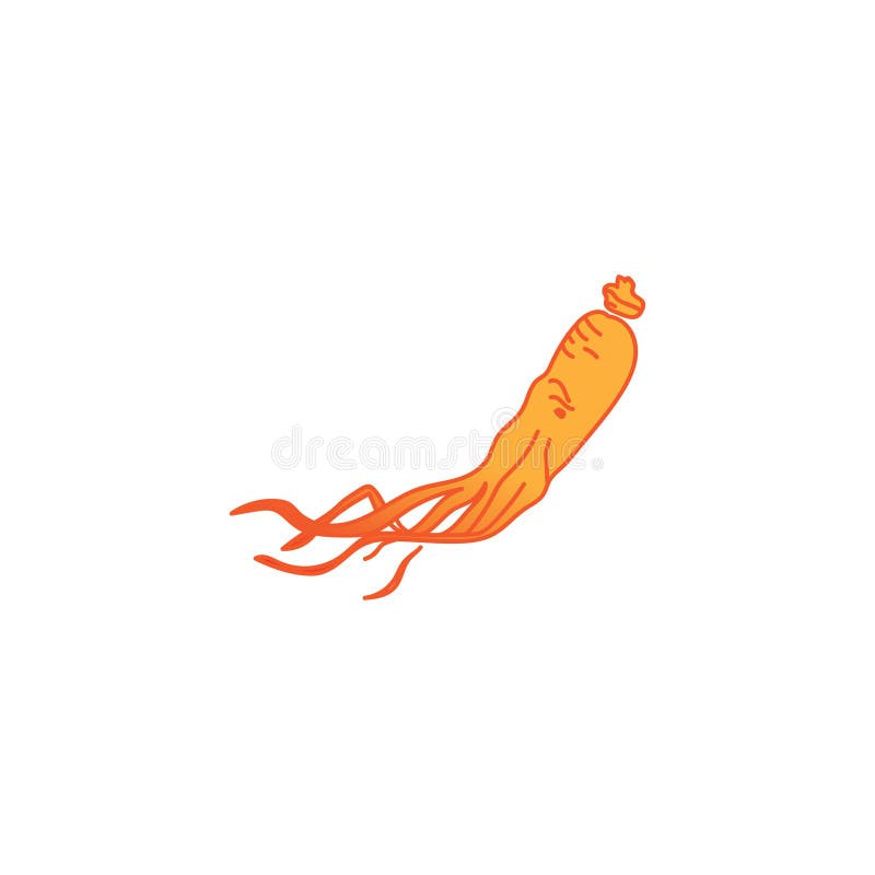 Ginseng Simple Illustrations. Vector Design Stock Vector - Illustration ...