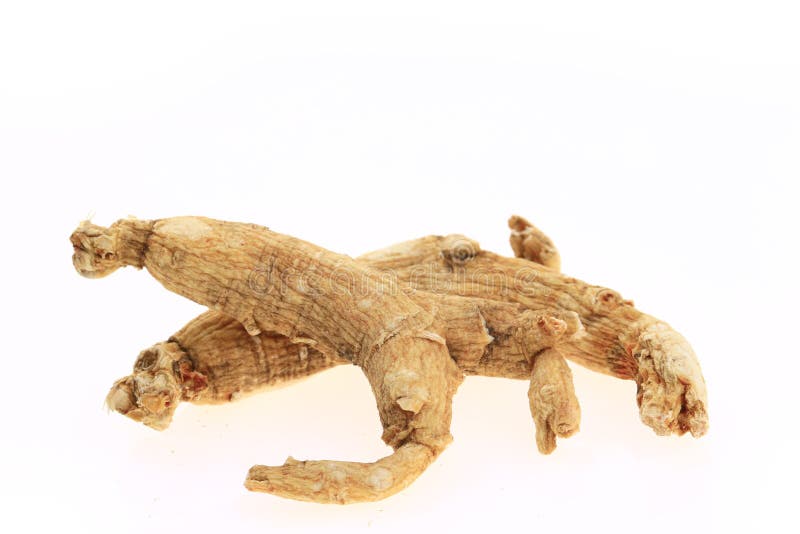 Ginseng on a White Background Stock Photo - Image of cooking, spice ...