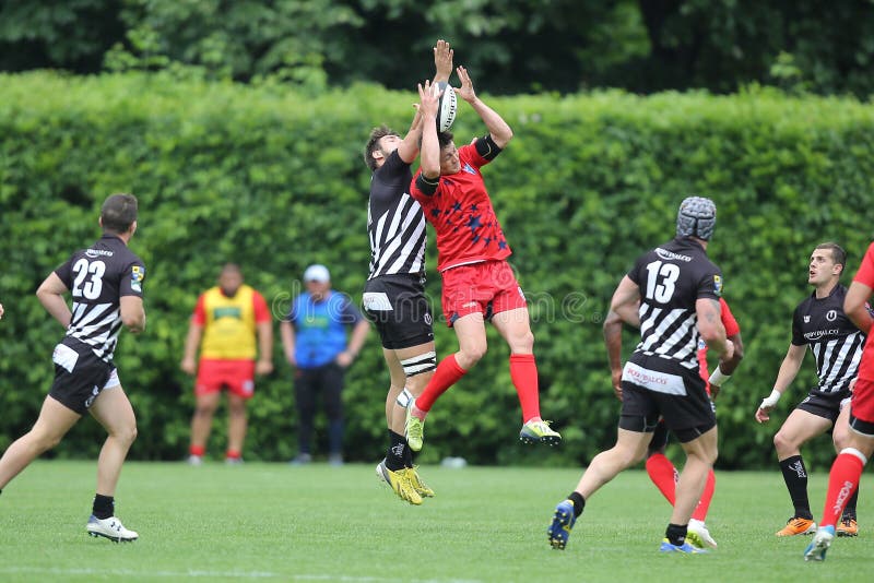 Giocatori Di Rugby Che Combattono Per La Palla Fotografia Stock ...