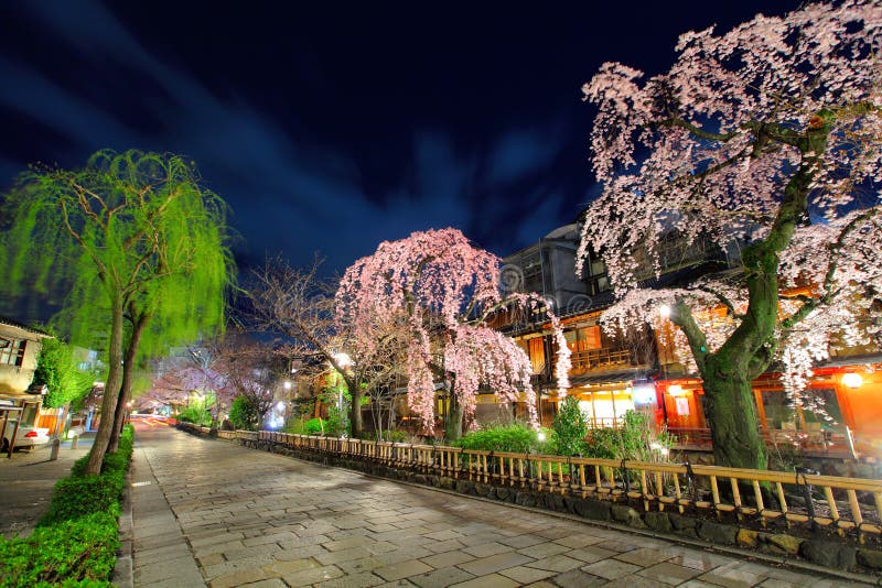Gion in Kyoto Mit Kirschblüte-Baum Stockbild - Bild von haus, gehweg ...