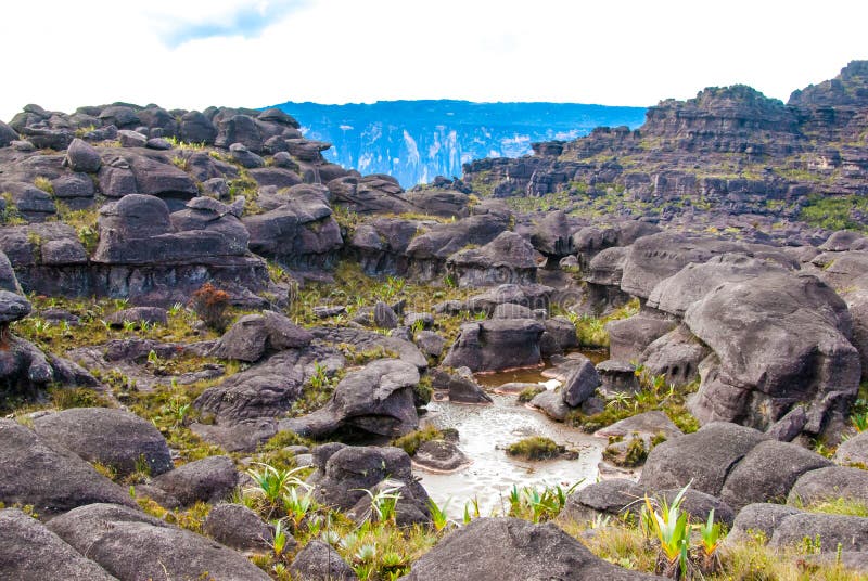 Roraima Tepui, Gran Sabana, Venezuela Stockbild - Bild von wild ...