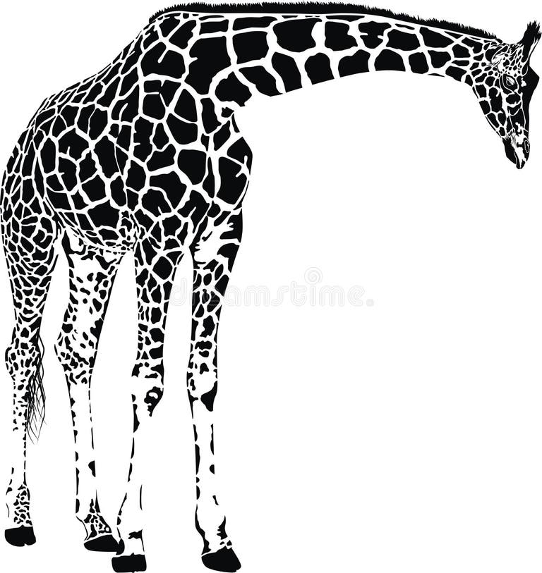 Giraffe Line Art Stock Illustrations – 8,911 Giraffe Line Art Stock ...