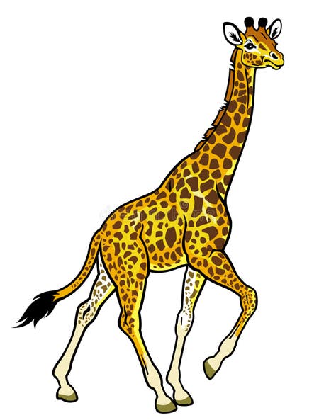 Giraffe Side View Stock Illustrations – 216 Giraffe Side View Stock ...