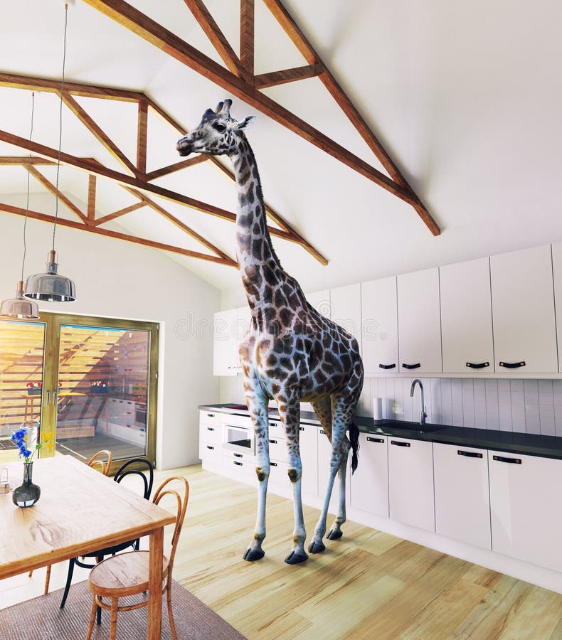 Giraffe in the stock illustration. Illustration of interior - 71077726