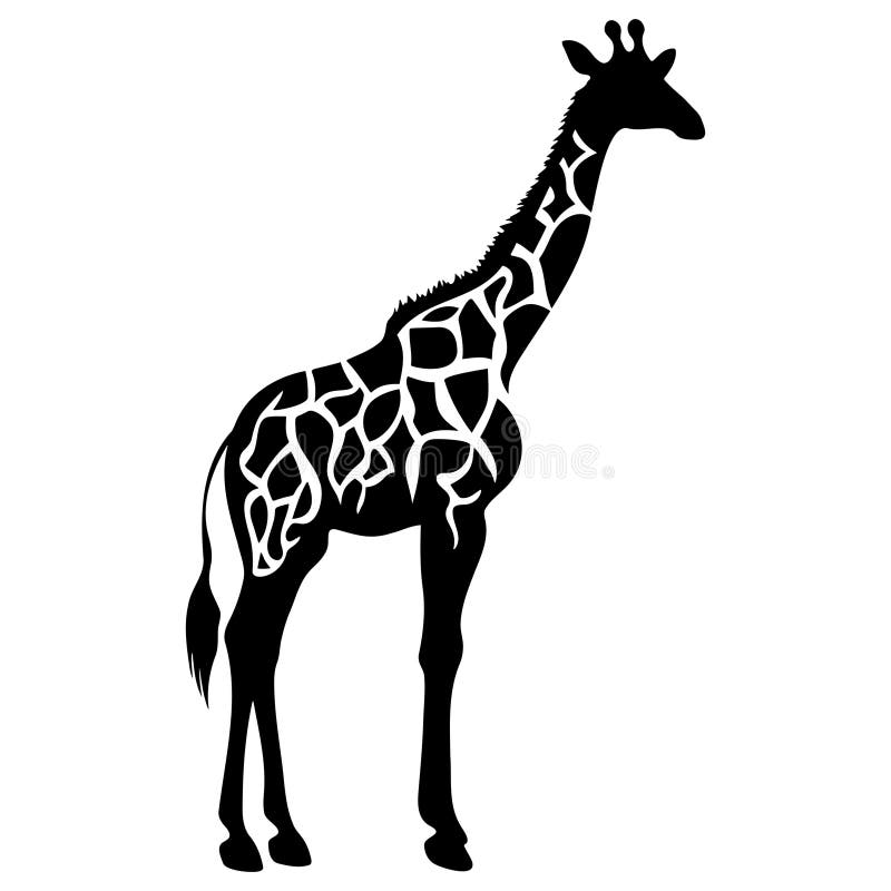Giraffe Black and White Drawing Stock Vector - Illustration of isolated ...