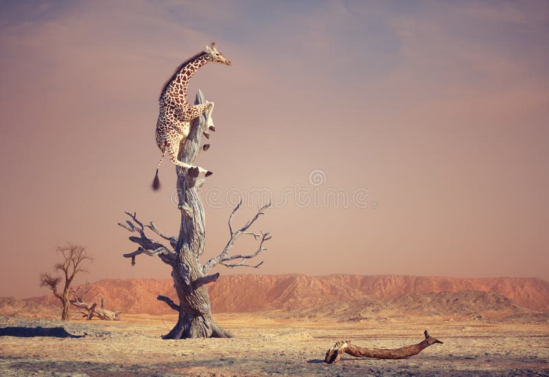 Giraffe Climbing a Dry Tree in Surreal Landscape Stock Illustration ...
