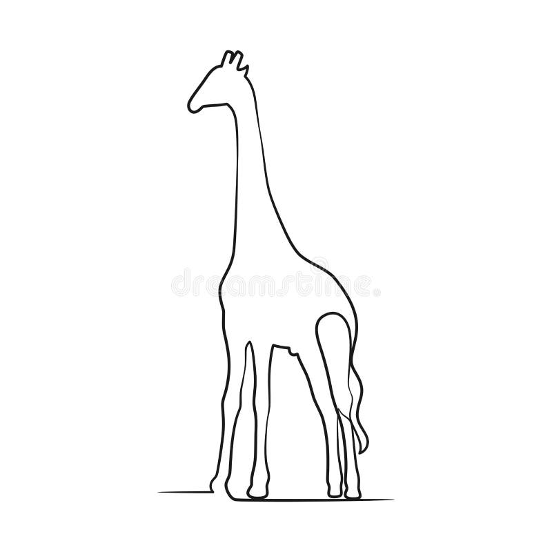 Giraffe Continuous One Line Art Design Stock Vector - Illustration of ...