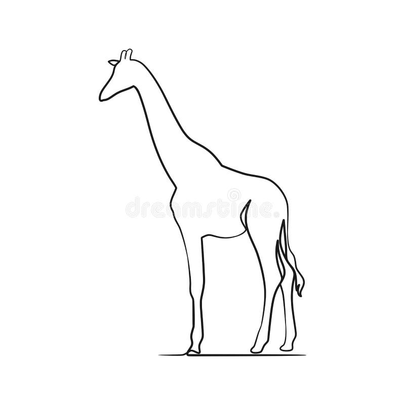 Giraffe Continuous One Line Art Design Stock Vector - Illustration of ...
