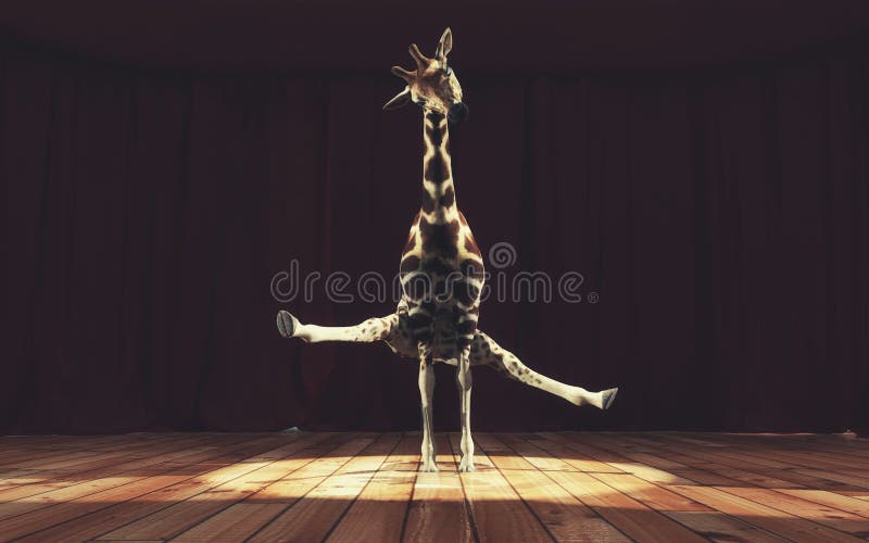 Dance. Giraffe Dancing on Stage Stock Illustration - Illustration of behavior, hobby: 215440019