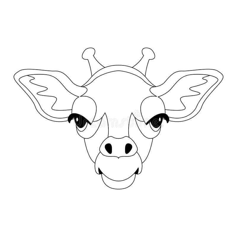 Giraffe Face Illustration Line Drawing Stock Illustration ...
