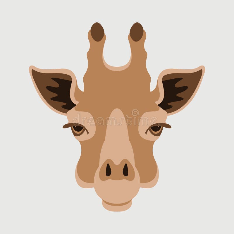Giraffe Face, Vector Illustration , Front View, Stock Vector ...