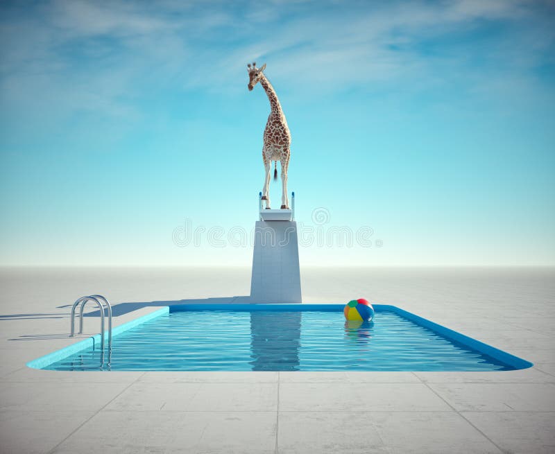 Giraffe Getting Ready To Jump into the Pool Stock Illustration ...