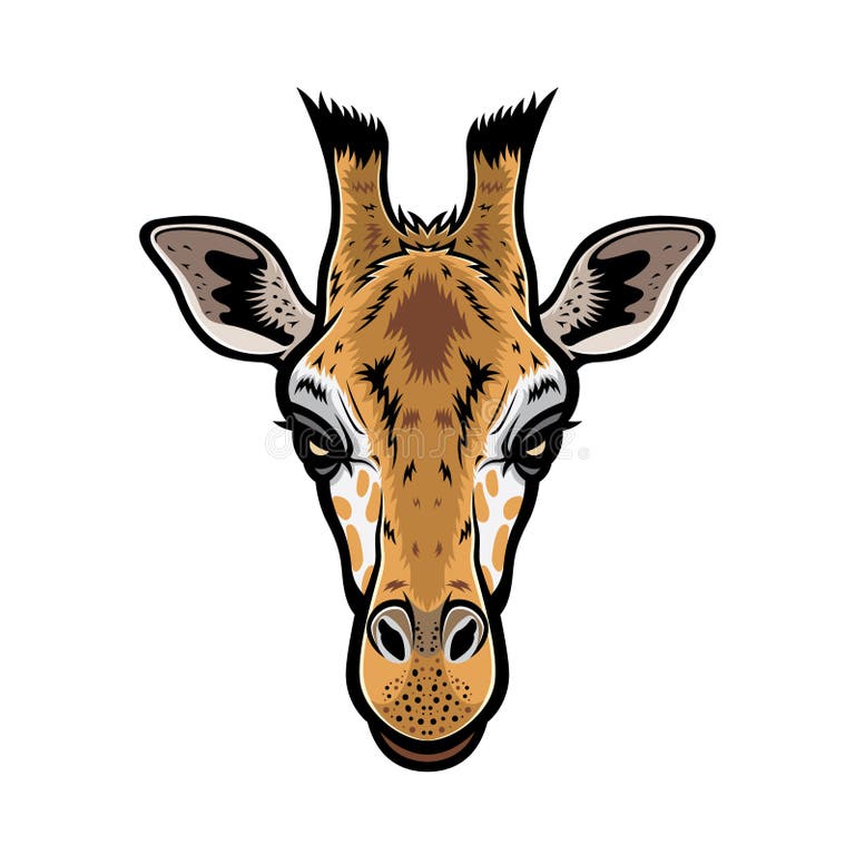 Giraffe Head Stock Illustrations – 21,155 Giraffe Head Stock ...