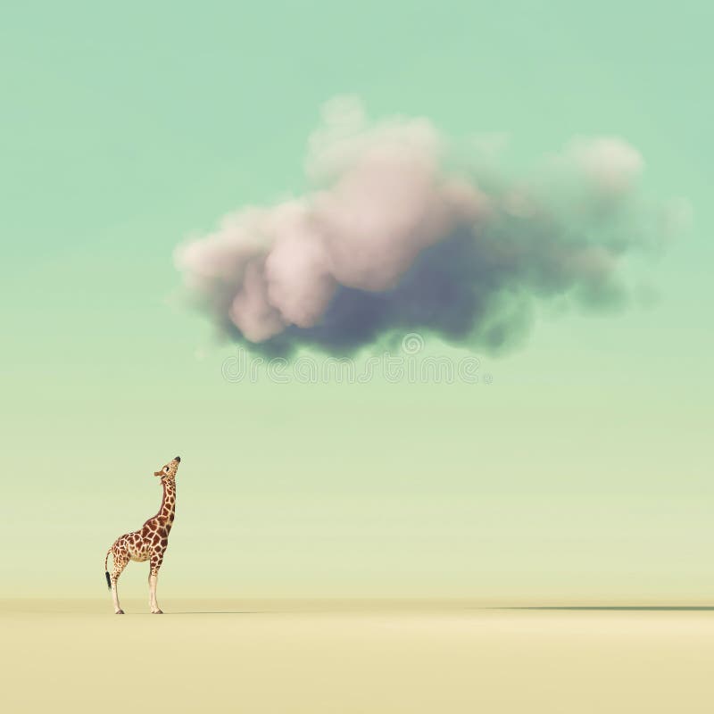 Giraffe Looks Up To a Cloud Stock Illustration - Illustration of ...