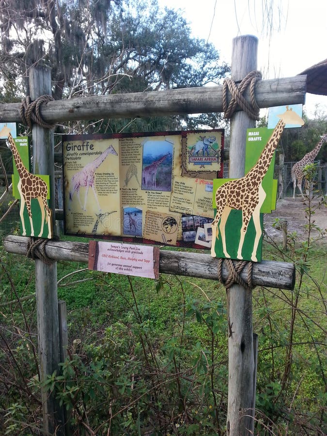 Giraffe Sign stock image. Image of monkey, playing, giraffes - 48518179