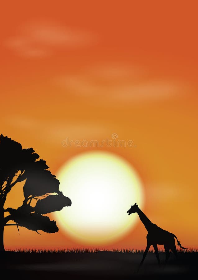Giraffe on Sunset Background. Vector Illustration Decorative Background ...
