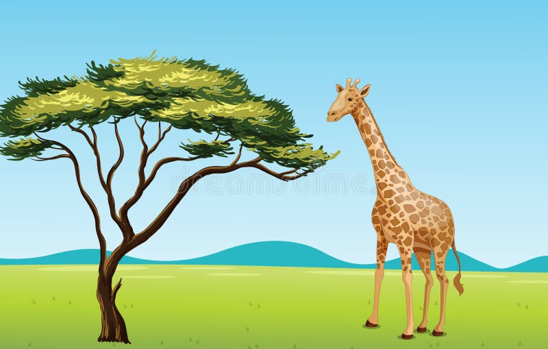 Giraffe by a tree stock vector. Illustration of long - 26473069