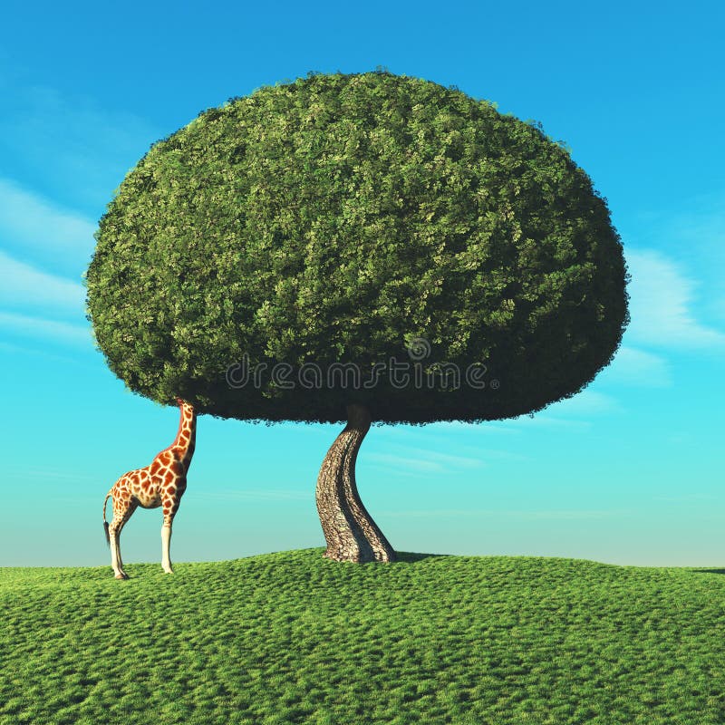 Tall Giraffe Tall Tree Stock Illustrations – 419 Tall Giraffe Tall Tree ...
