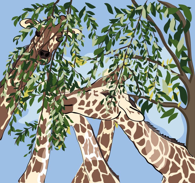 Giraffes Eating Dinner stock vector. Illustration of grassland - 30402636