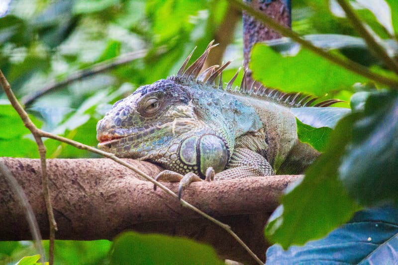 Biswajit Gogoi (Biswajitgogois) - Photographer profile