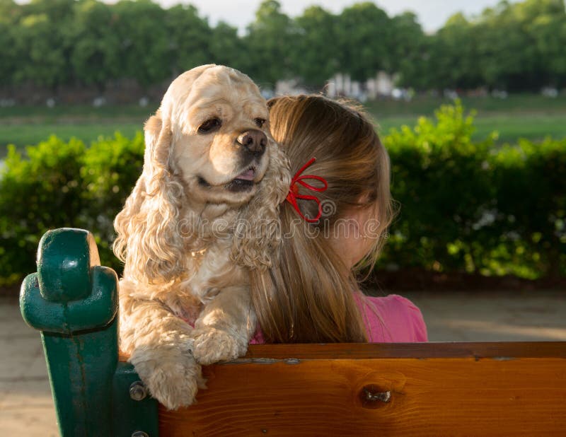 Girl with American Cocker Spaniel Stock Photo - Image of american ...