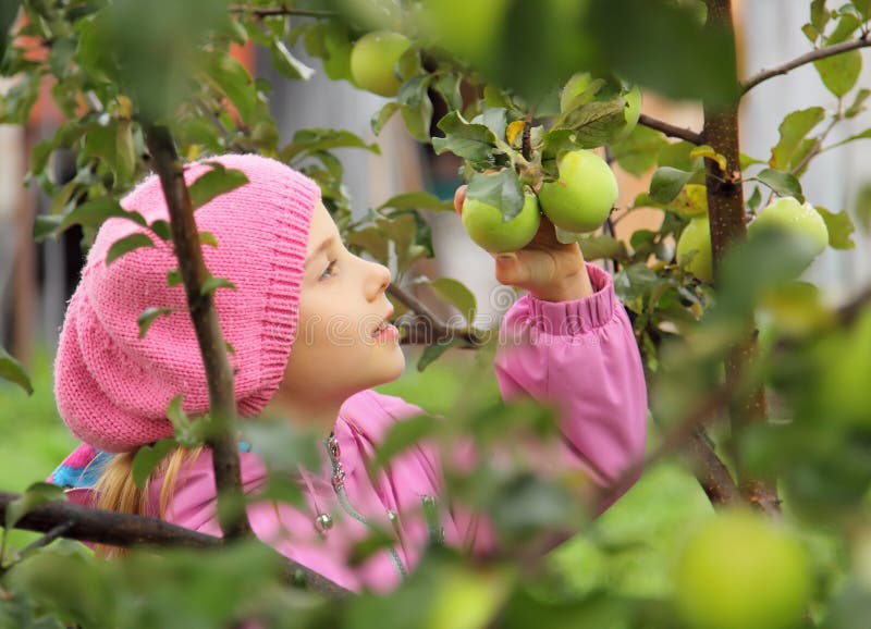 The girl and an apple-tree stock photo. Image of crop - 10907416