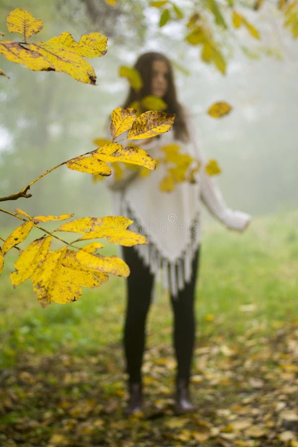 Girl and autumn stock image. Image of light, treetops - 79488367