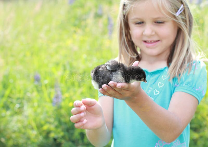 Girl with baby duck stock photo. Image of blondie, portrait - 24980630