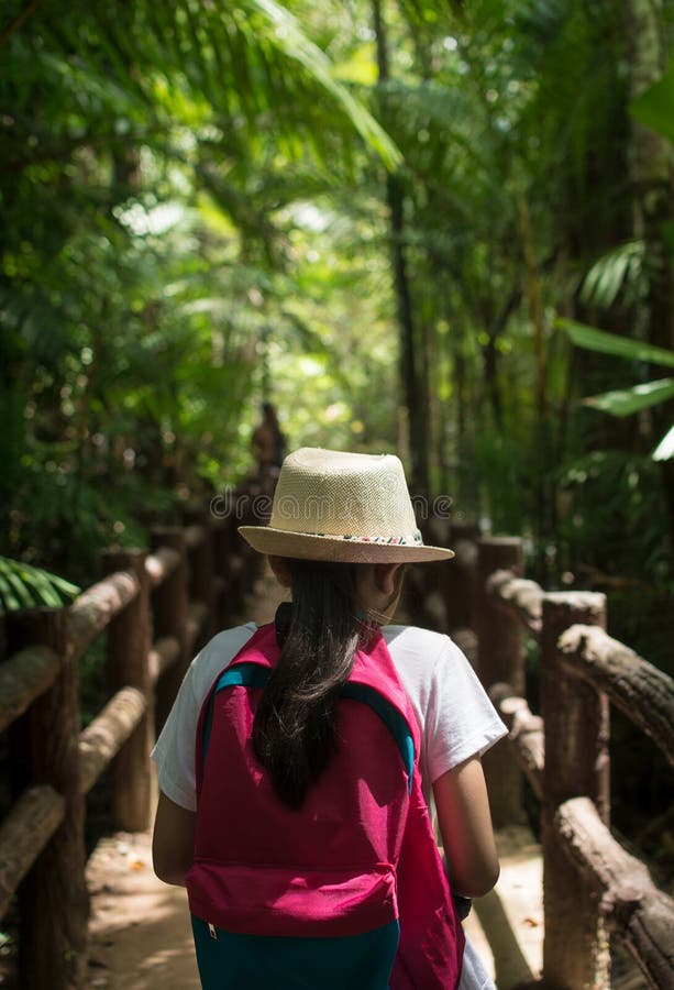 Girl with Backpack Walking in To Tropical Rainforest. Stock Image ...