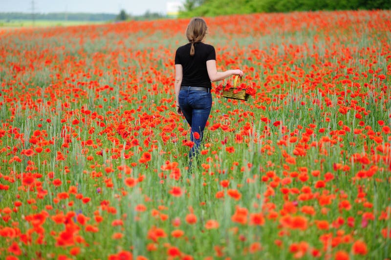 Girl with Basket on Poppy Field Stock Photo - Image of poppies, vibrant ...