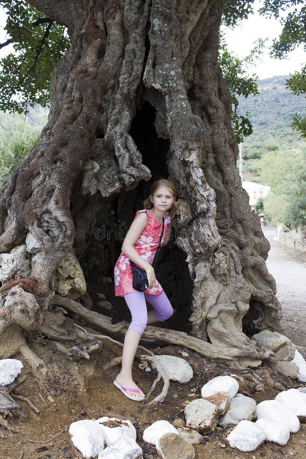 Girl in a big olive tree stock photo. Image of crete - 19015108