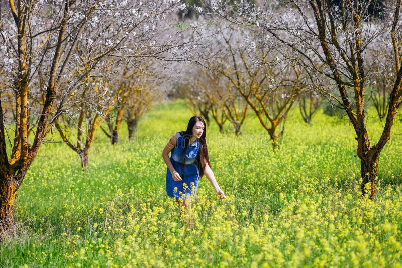 Girl in Blossoms Tree Valley and Flower Meadow Stock Photo - Image of ...