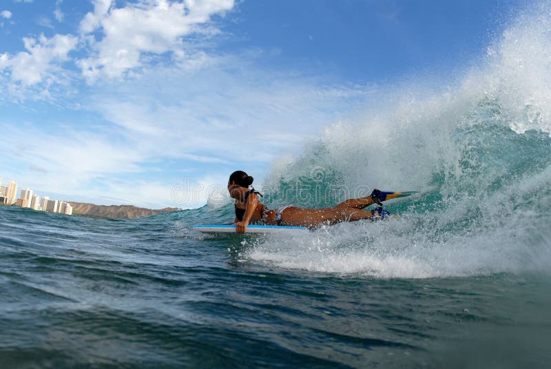 280 Bikini Girl Bodyboard Stock Photos - Free & Royalty-Free Stock ...