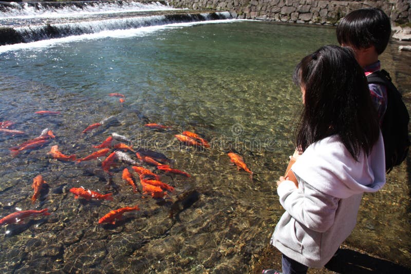 Girl and boy feeding fish editorial image. Image of feeding - 92592800