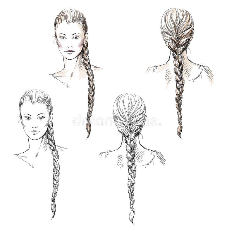 Girl With A Braid Hand Drawn Stock Vector Illustration Of Vector Braiding 30490465