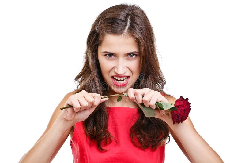 Girl break a red rose stock photo. Image of caucasian - 27573976