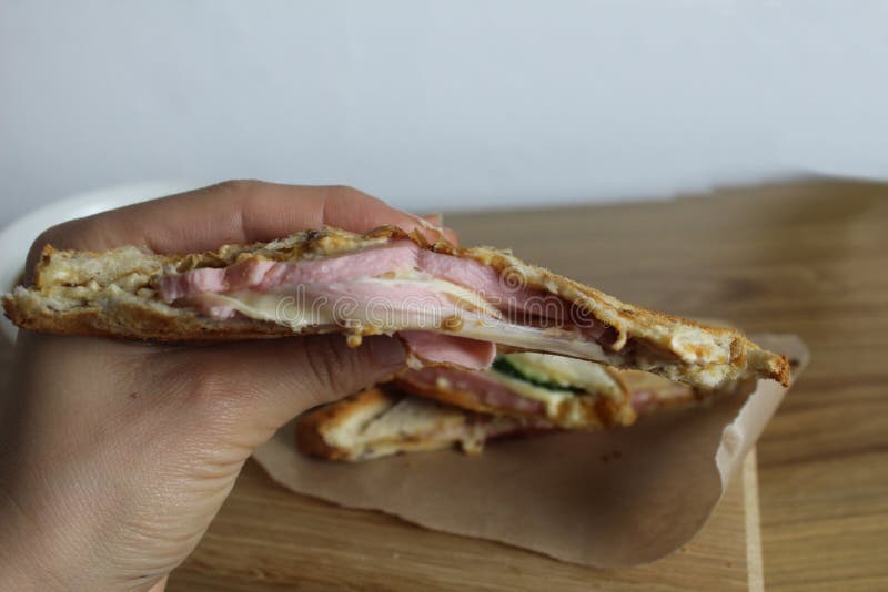 Girl Breaks a Cheese Sandwich with Her Hands. Breakfast Stock Image ...