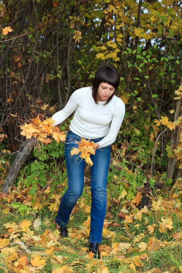 Girl, brunette stock photo. Image of golden, fine, october - 17742036
