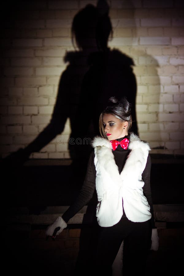 Cat Shadow Wall Silhouette Stock Photos - Free & Royalty-Free Stock ...